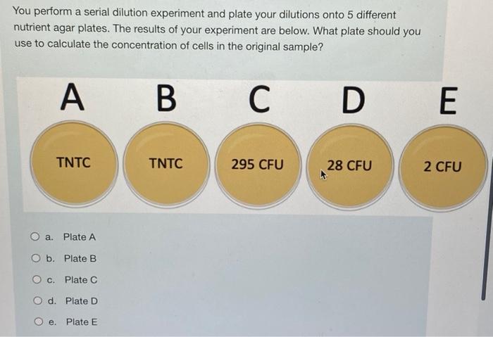 Solved You perform a serial dilution experiment and plate | Chegg.com