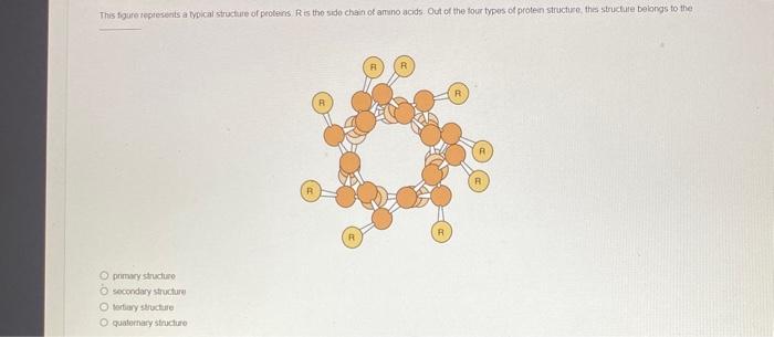 Solved This figure teptesecits a typical structire of | Chegg.com