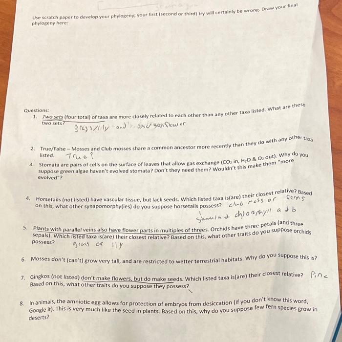 Solved Use scratch paper to develop your phylogeny; your | Chegg.com