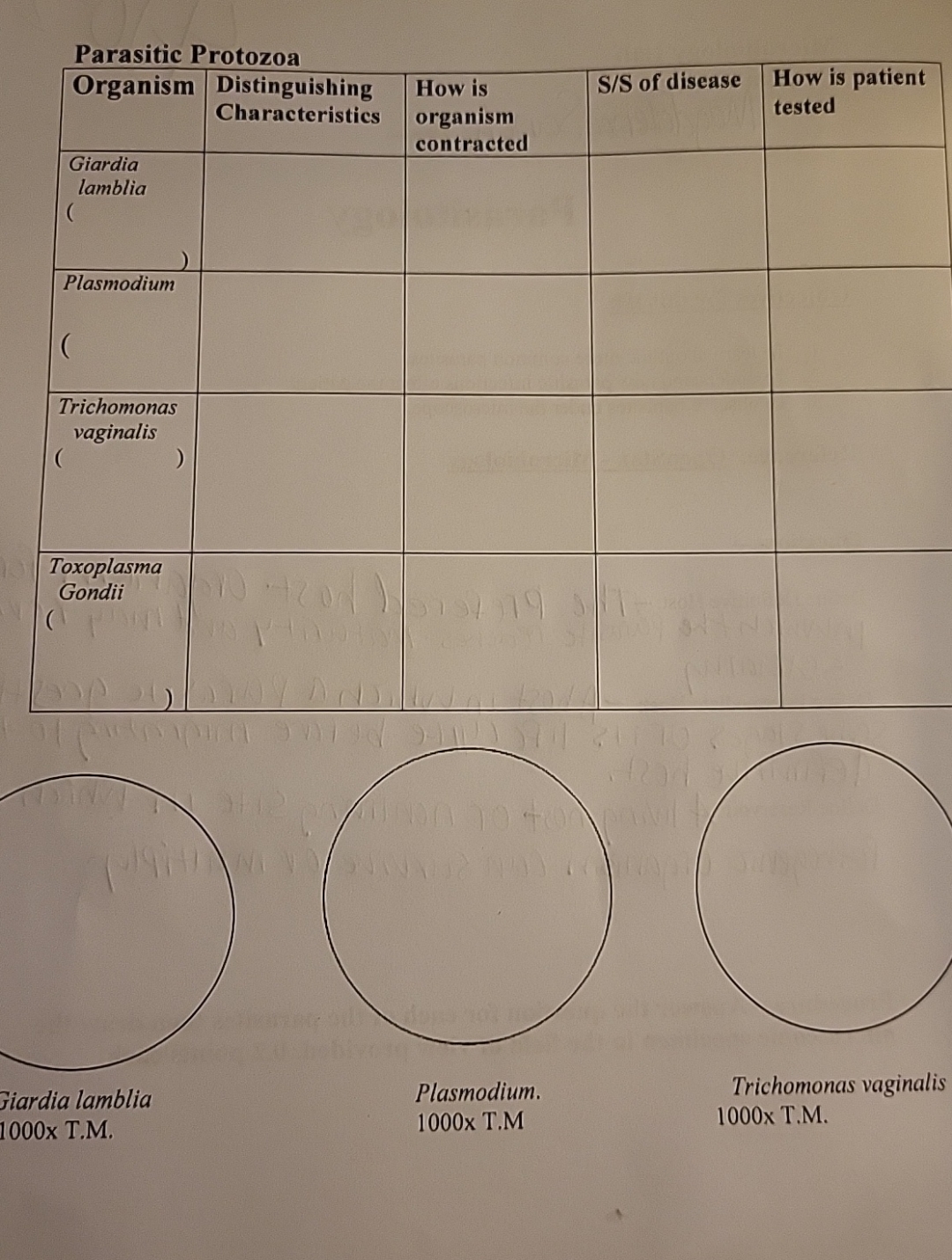 Solved Parasitic | Chegg.com