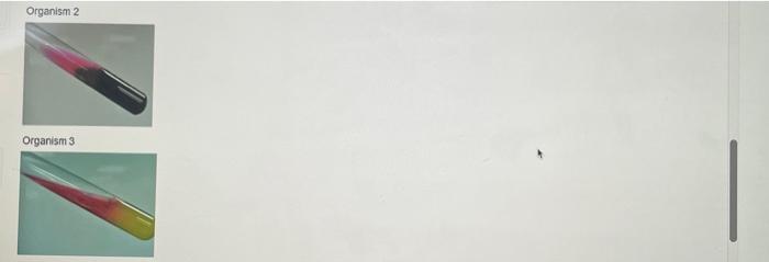 Solved Required information Biochemical Testing: Triple | Chegg.com