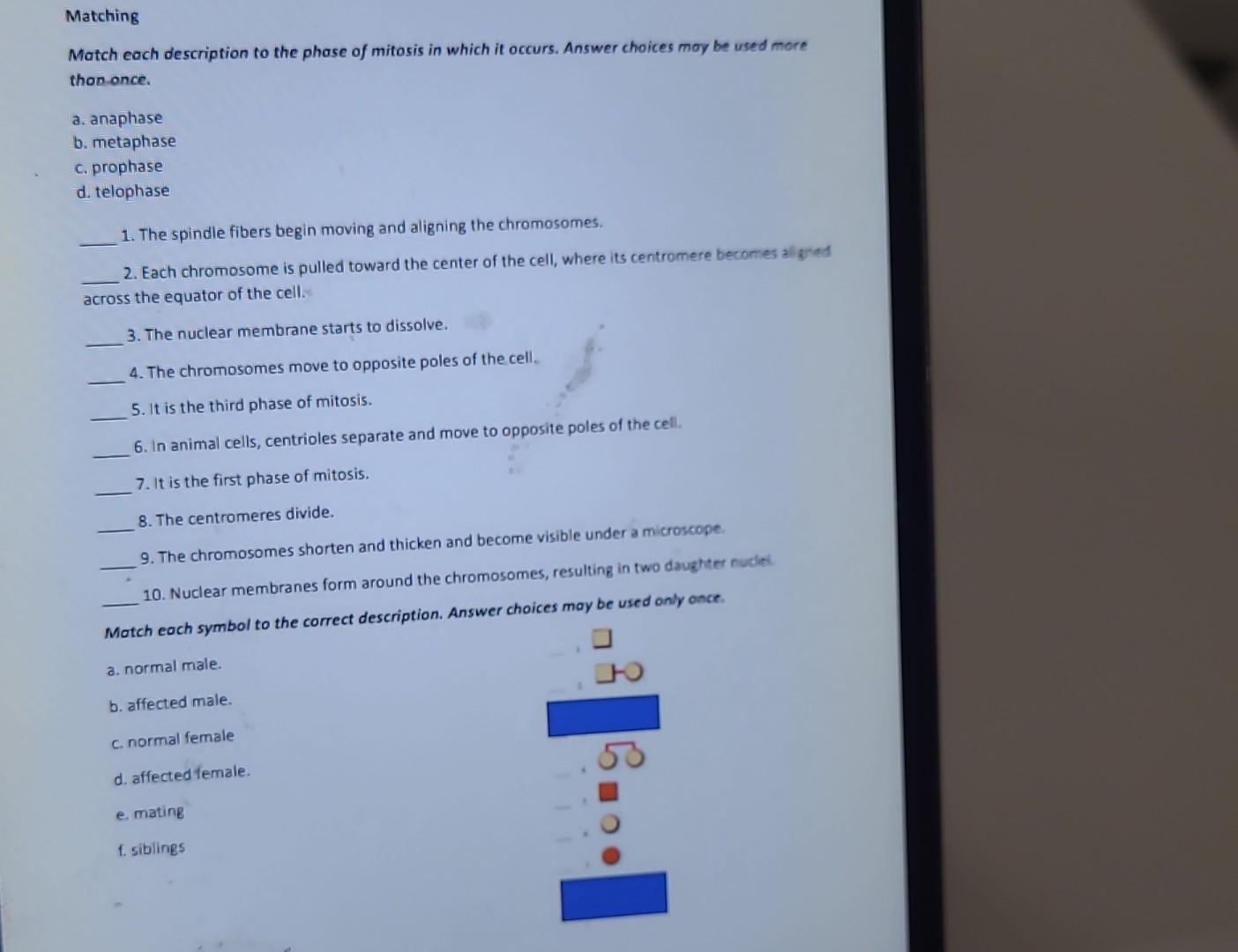 Solved Match each description to the phase of mitosis in | Chegg.com
