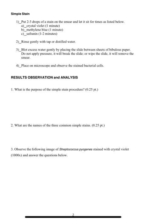 Solved Name: Class Section: Date: SIMPLE STAINING OBJECTIVES | Chegg.com