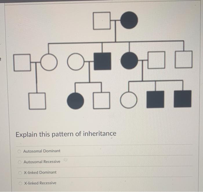 Solved Explain this pattern of inheritance Autosomal | Chegg.com