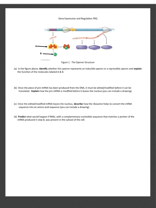 Solved Gene Expression and Regulation FRO Figure 1. The | Chegg.com
