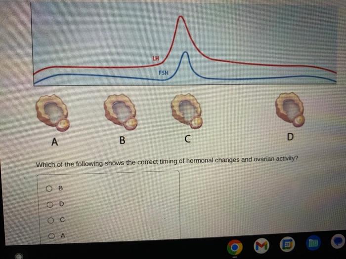 Solved Which of the following shows the correct timing of | Chegg.com