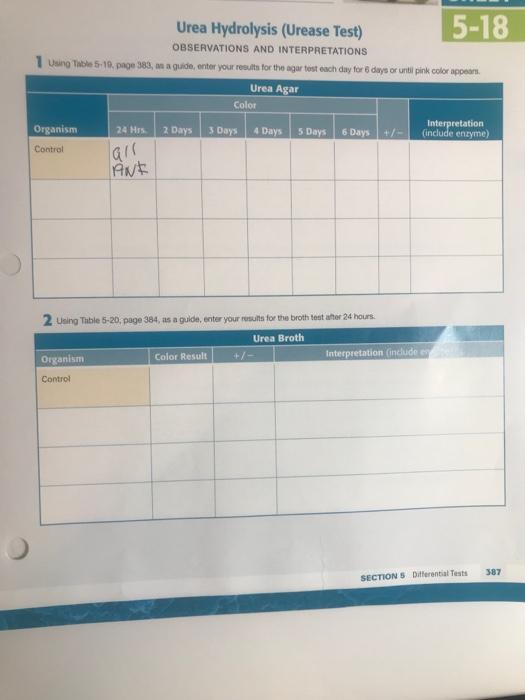 5-18 Urea Hydrolysis (Urease Test) OBSERVATIONS AND | Chegg.com