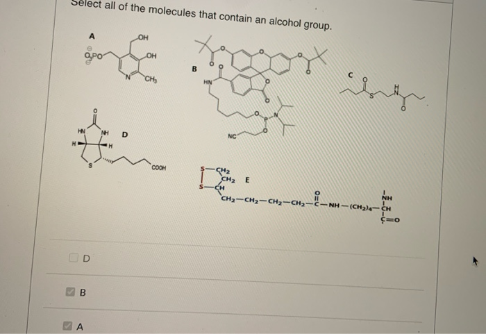Solved Select all of the molecules that contain a thioester | Chegg.com