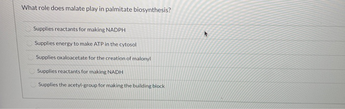 Solved What role does malate play in palmitate biosynthesis? | Chegg.com