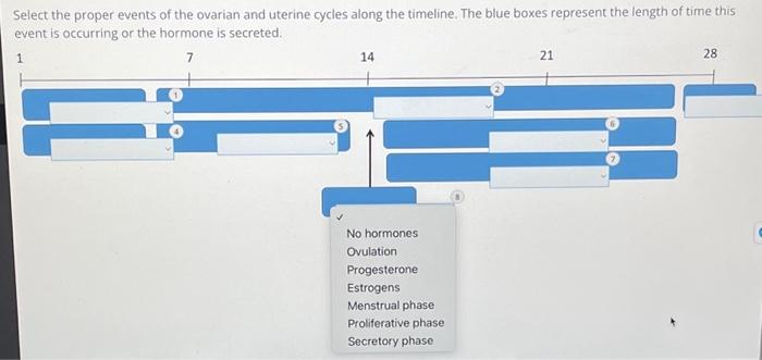 Solved Select the proper events of the ovarian and uterine | Chegg.com