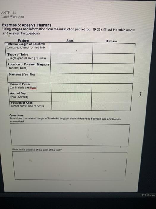 ANTH 161 Lab Worksheet Exercise 5: Apes vs. Humans | Chegg.com