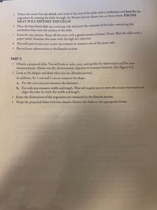 PART B and C BACTERIAL SHAPES Shape: Magnification: | Chegg.com