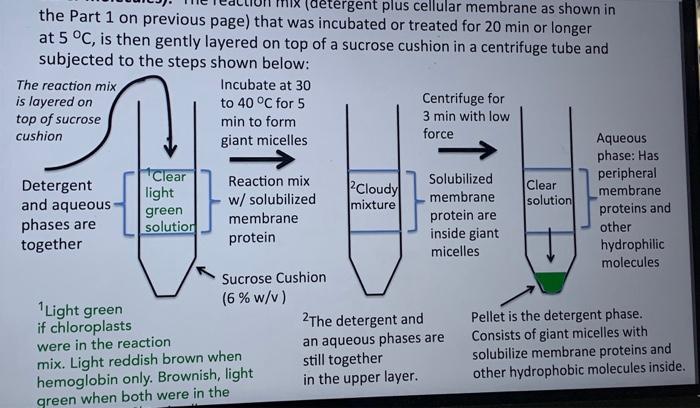 Solved 7. Are giant micelles able to solubilize membranes | Chegg.com