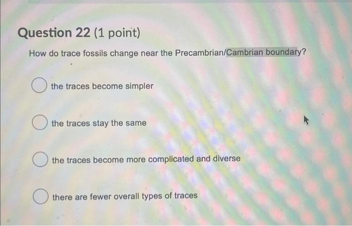 Solved Question 22 (1 point) How do trace fossils change | Chegg.com