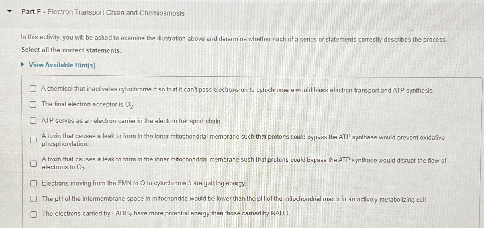 Solved Part F - ﻿Electron Transport Chain and ChemiosmosisIn | Chegg.com