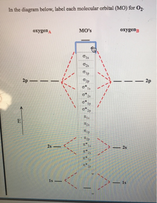 Solved In the diagram below, label each molecular orbital | Chegg.com