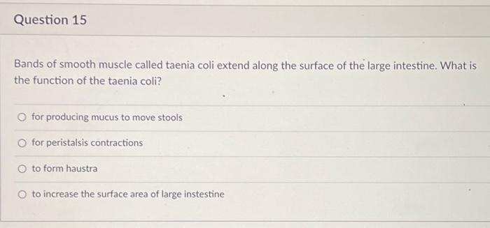 Solved Bands of smooth muscle called taenia coli extend | Chegg.com