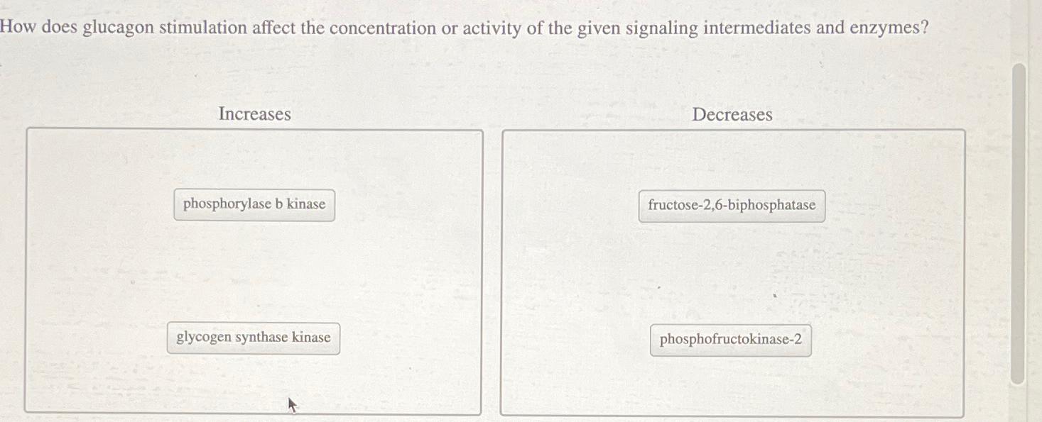 Solved How does glucagon stimulation affect the | Chegg.com