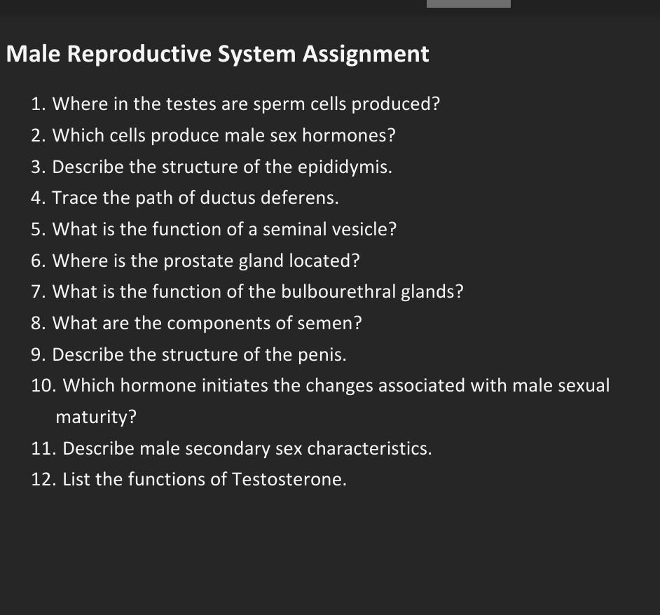 Solved Male Reproductive System Assignment 1. Where in the | Chegg.com