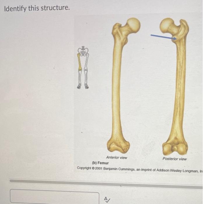 Solved Identify this struct =Identify this structureIdentify | Chegg.com