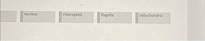 Solved Sort the cellular structures into those found only in | Chegg.com