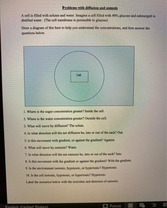 Solved Problems with diffusion and osmosis A cell is filled | Chegg.com