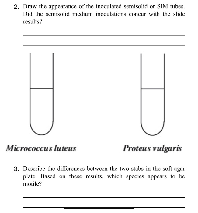 Solved 2. Draw the appearance of the inoculated semisolid or | Chegg.com