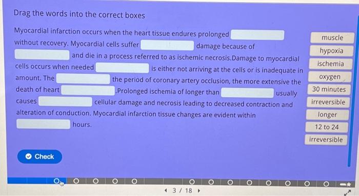 Solved Drag the words into the correct boxes Myocardial | Chegg.com