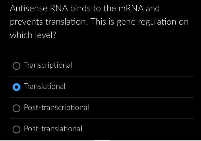 Solved Antisense RNA binds to the mRNA and prevents | Chegg.com