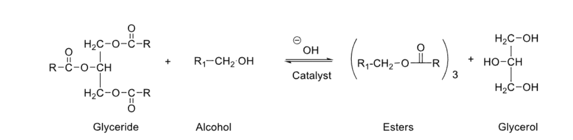 Solved Write out the full reaction mechanism and include all | Chegg.com Solved Write out the full reaction mechanism and include all | Chegg.com