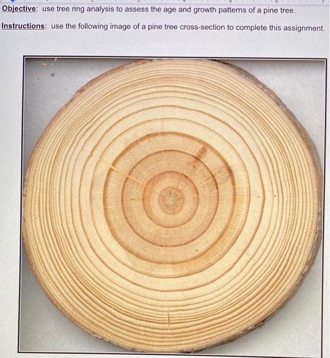 Objective: use tree ring analysis to assess the age | Chegg.com