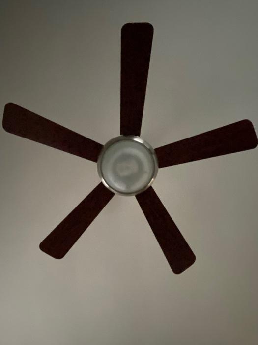 Solved can you find for each picture if there is Mirror | Chegg.com