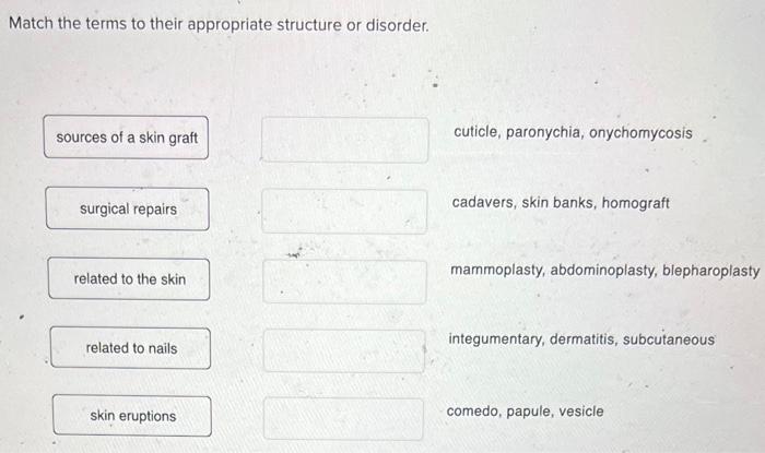 Solved Match the terms to their appropriate structure or | Chegg.com