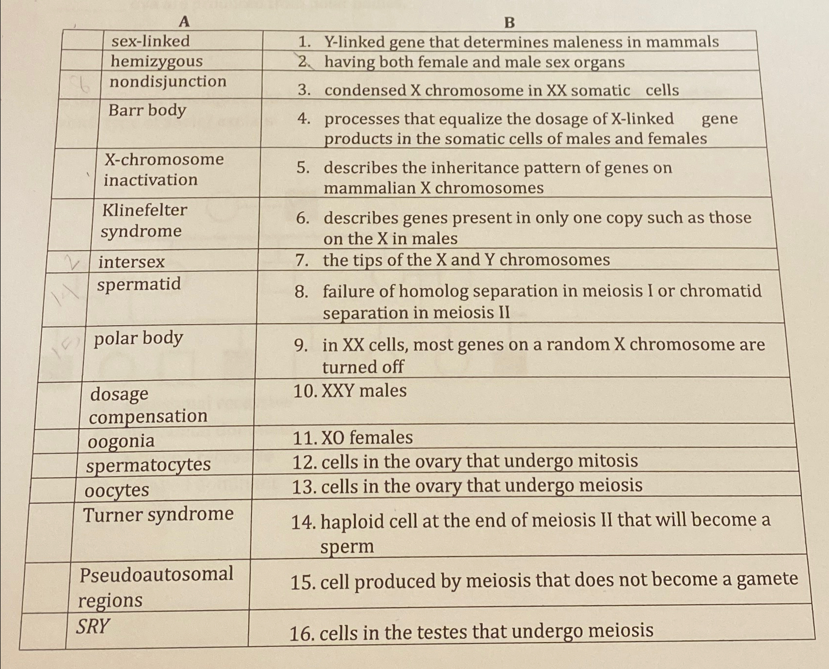 Solved Table[[ A B] [ Sex Linked 1 ﻿y Linked Gene That