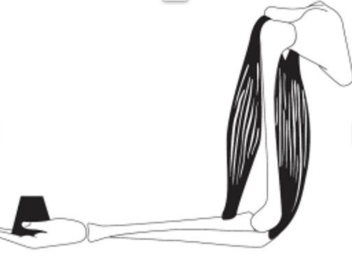 Solved D.13. Fig. 8 shows a simplified diagram of the | Chegg.com