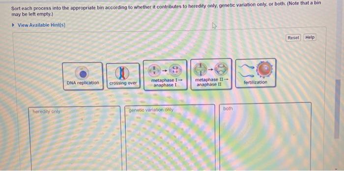 Solved Sort each process into the appropriate bin | Chegg.com
