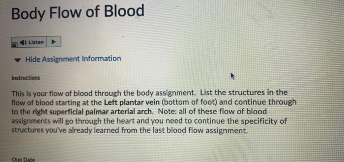 Solved Body Flow of Blood Listen Hide Assignment Information | Chegg.com