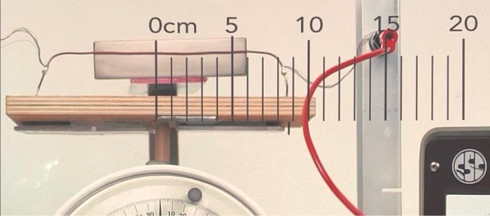 Solved Use the ruler tool to measure the length of the | Chegg.com