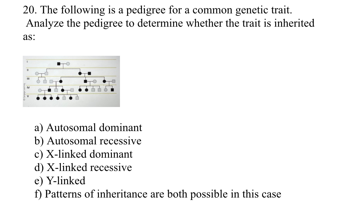 Solved The following is a pedigree for a common genetic | Chegg.com