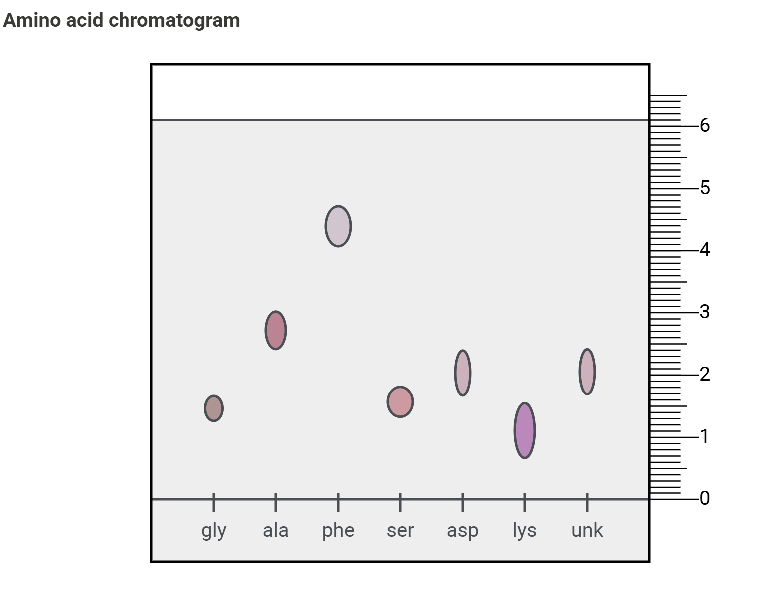 Solved Amino acid chromatogram:1. ﻿Measure the distance the | Chegg.com