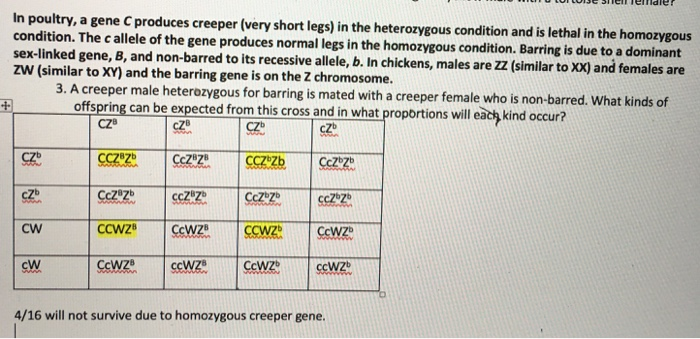 Solved In poultry, a gene produces creeper (very short legs) | Chegg.com