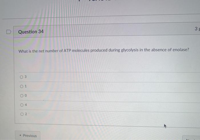 Solved 3F Question 34 What is the net number of ATP | Chegg.com