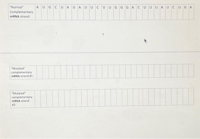 Solved Methods: Part II Transcription (DNA → mRNA) Construct | Chegg.com