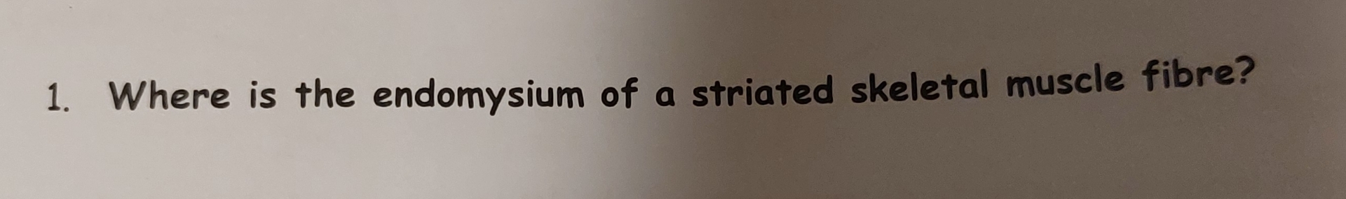 Solved Where is the endomysium of a striated skeletal muscle | Chegg.com