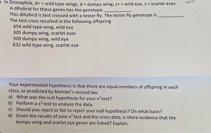 Solved 5. In Drosophila, d+ = wild type wings, d = dumpy | Chegg.com