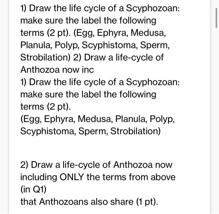 1) Draw the life cycle of a Scyphozoan: make sure the | Chegg.com