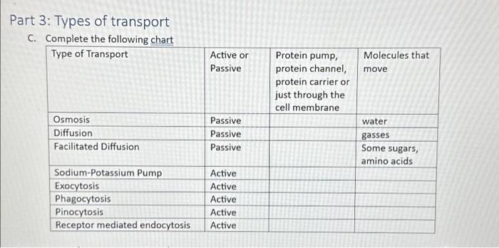 Solved Part 3: Types of transport C. Complete the following | Chegg.com
