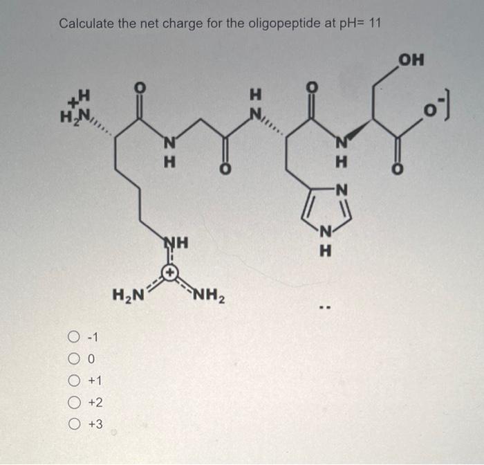 Solved Calculate the net charge for the oligopeptide at | Chegg.com