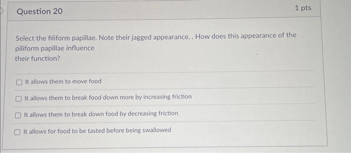 Solved Select the filiform papillae. Note their jagged | Chegg.com