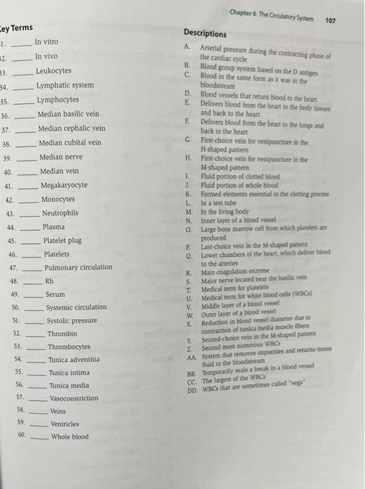 Solved MATCHING Use choices only once unless otherwise | Chegg.com